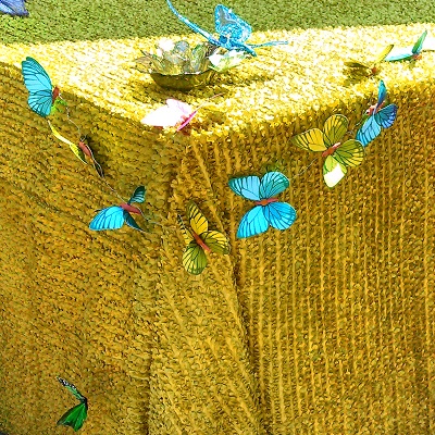 Seating : Chartreuse Lawn | Après Event Décor and Tent Rental